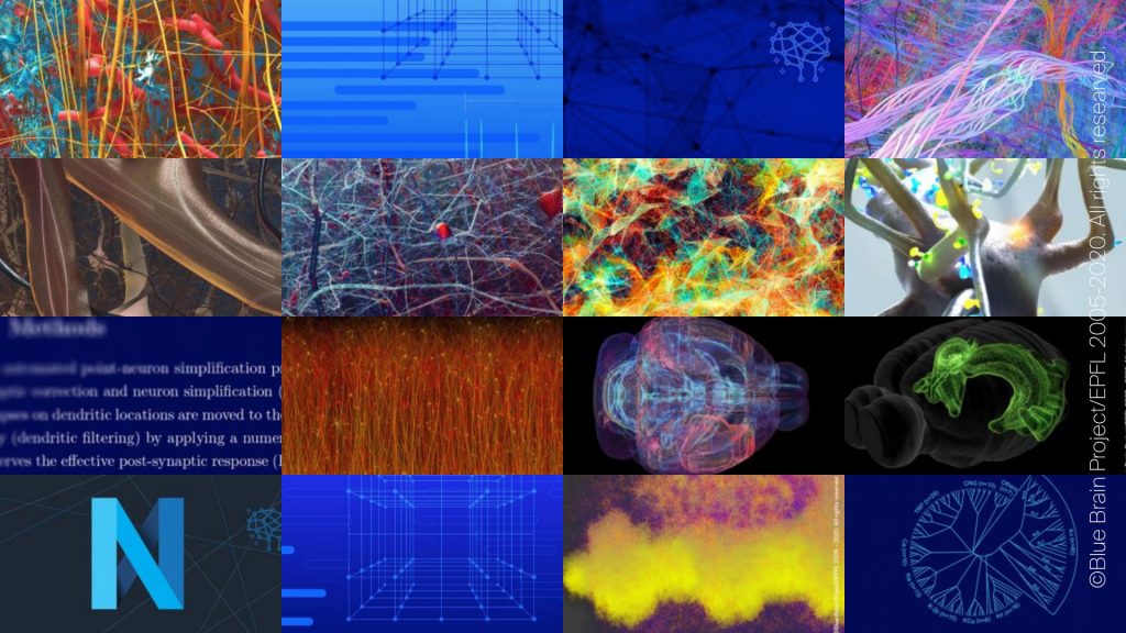 Blue Brain Project ‐ EPFL