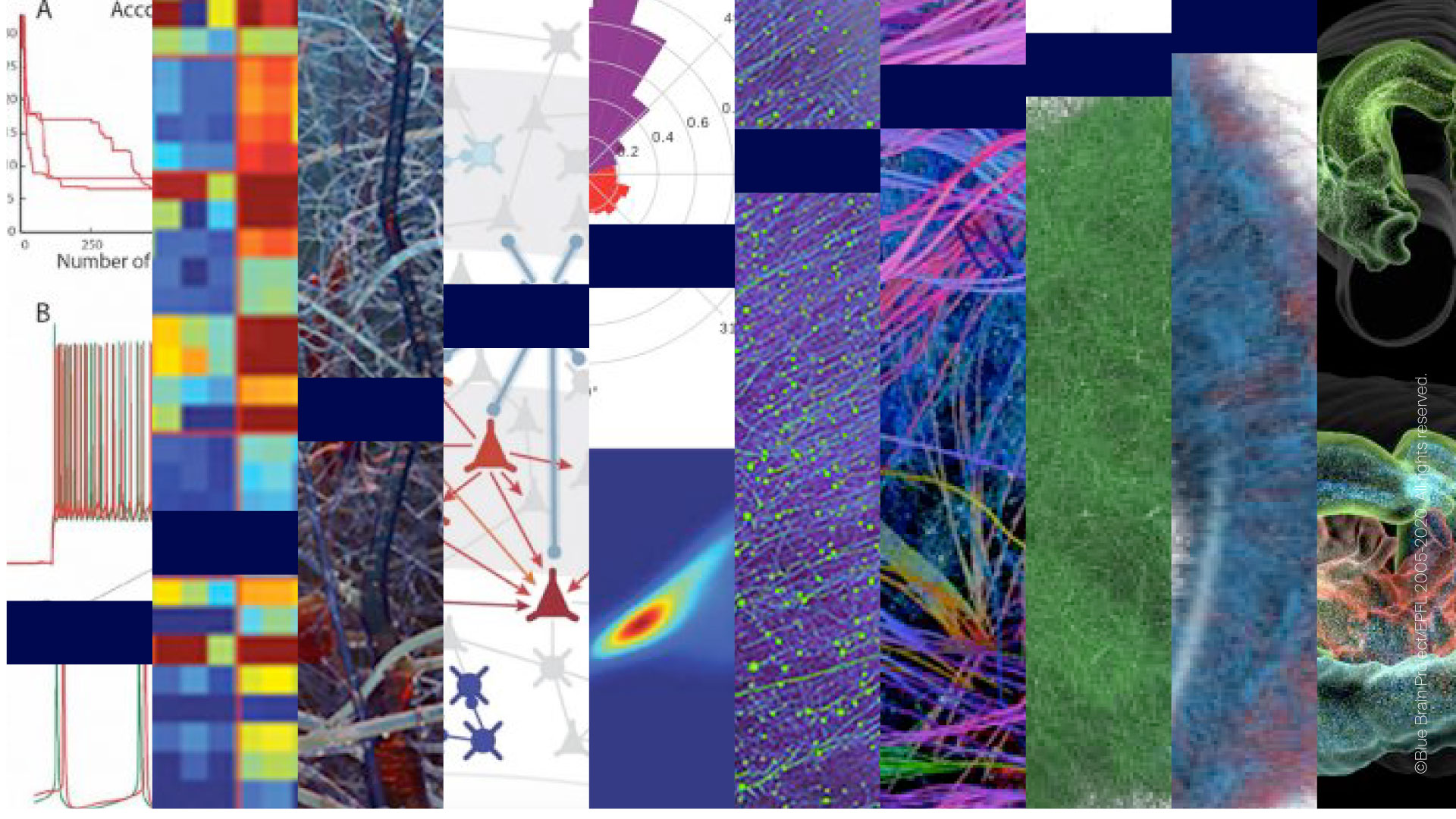 Blue Brain’s Scientific Milestones ‒ Blue Brain Project ‐ EPFL