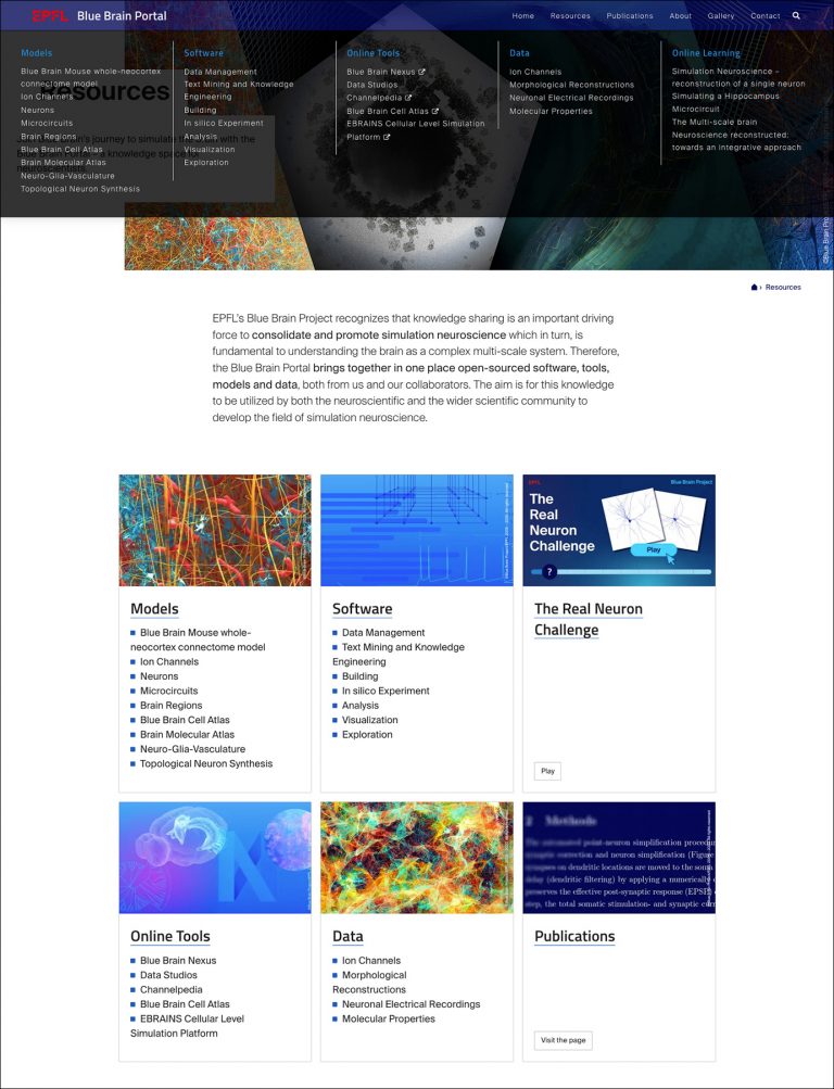 Blue Brain Portal ‒ Blue Brain Project ‐ EPFL